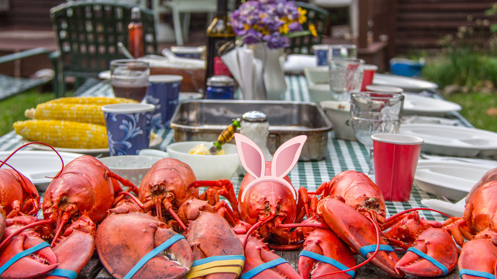 Maine Lobster for Easter! – Get Maine Lobster