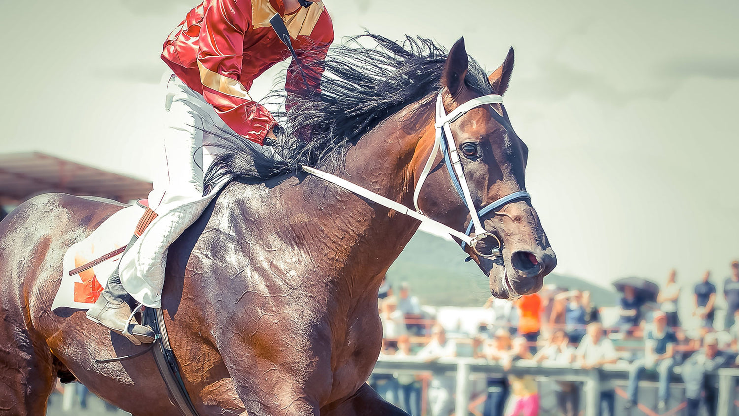 10 Fun Kentucky Derby Facts – Get Maine Lobster