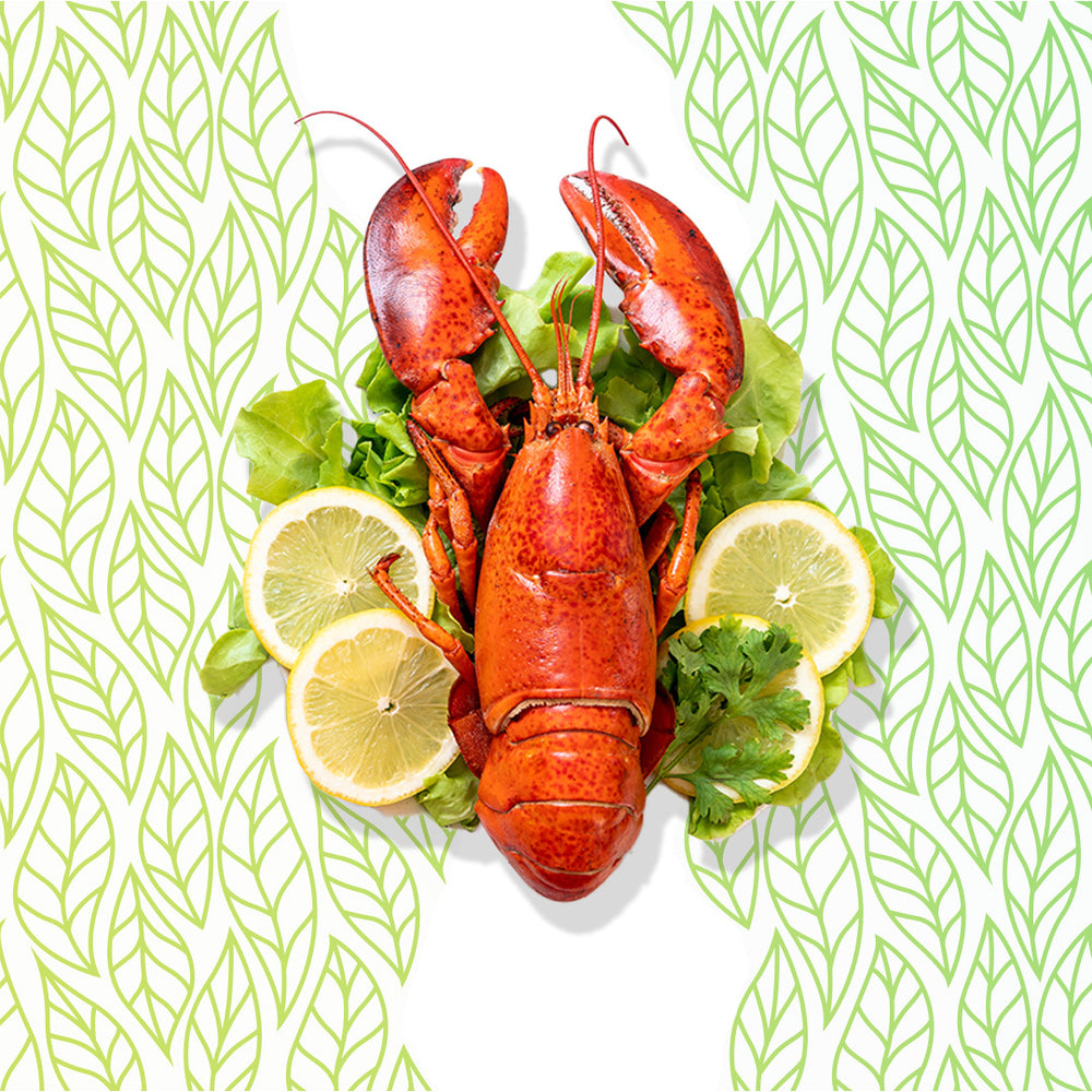 Live Maine Lobsters Shipped | Wild-Caught & Ocean Fresh – Get Maine Lobster