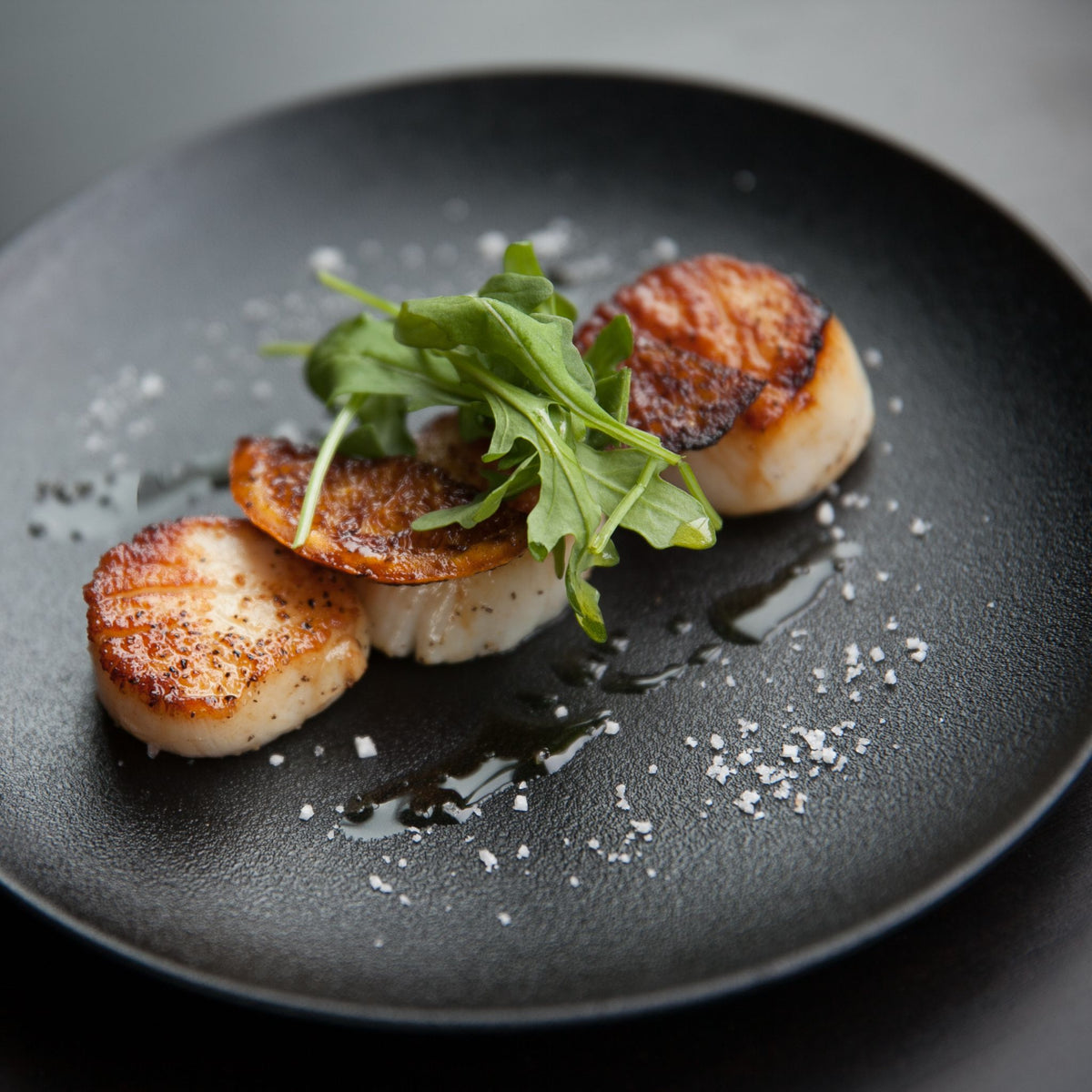 Order Fresh Scallops Online | Maine Day Boat Scallops – Get Maine Lobster