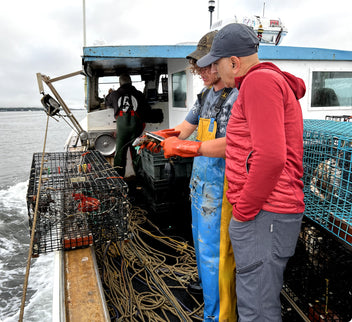 Live Maine Lobsters Shipped | Wild-Caught & Ocean Fresh – Get Maine Lobster